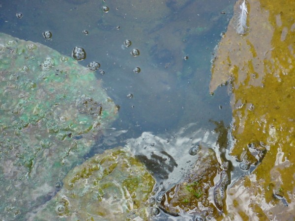 Public Works Division | STATE CAPITOL, RENOVATE REFLECTING POOLS